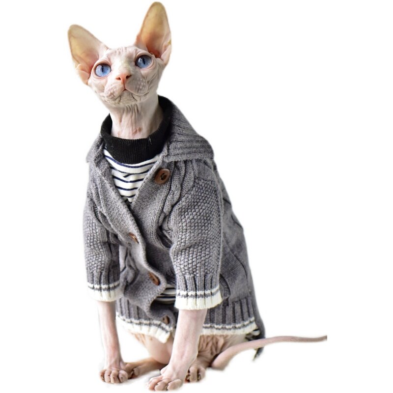 Cat Clothes & Accessories | Apparel for Your Feline | Free Shipping