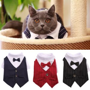 Cat Clothes & Accessories | Apparel for Your Feline | Free Shipping