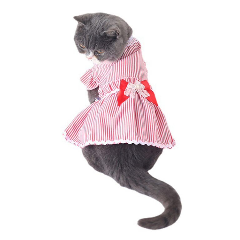 Cat Clothes & Accessories | Apparel for Your Feline | Free Shipping