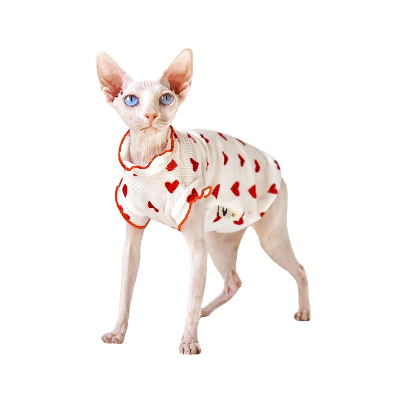 Cat Clothes & Accessories | Apparel for Your Feline | Free Shipping