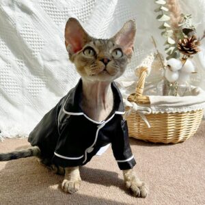 Cat Clothes & Accessories | Apparel for Your Feline | Free Shipping